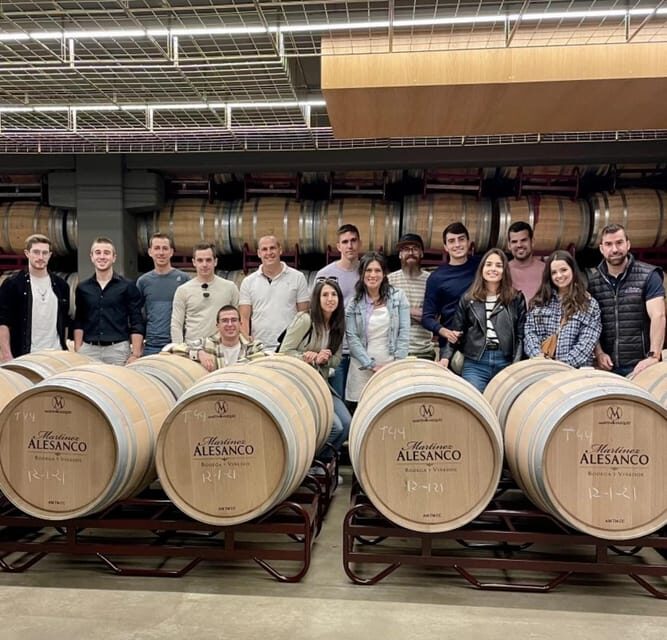 Rioja: Wine tasting and sampling at the Martínez Alesanco family winery - What’s included and what’s not