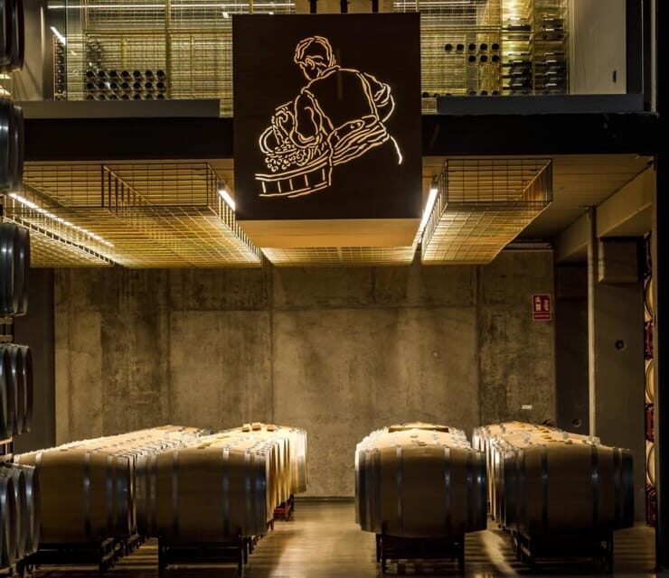 Rioja: Wine tasting and sampling at the Martínez Alesanco family winery - The value and overall impression