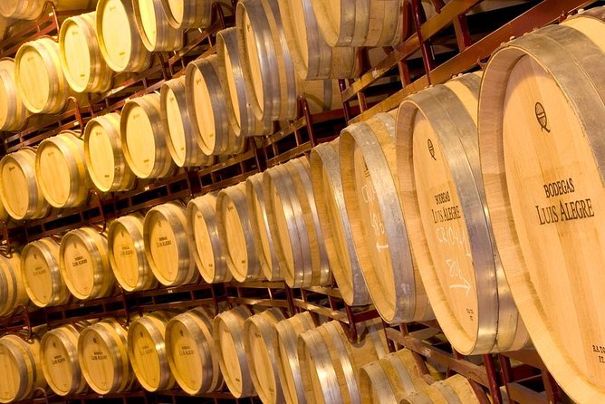 Rioja Wine Tour: 2 Wineries From Bilbao - Winery Visits and Wine Tastings