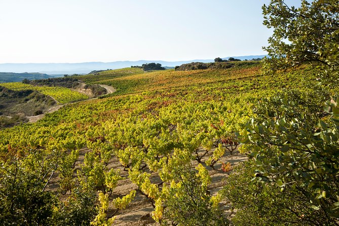 Rioja Wine Tour: 2 Wineries From Bilbao - Scenic Views and Cultural Insights