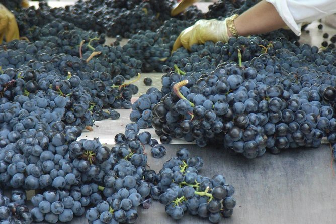 Rioja Wine Tour: 2 Wineries From Bilbao - Booking and Cancellation Policies