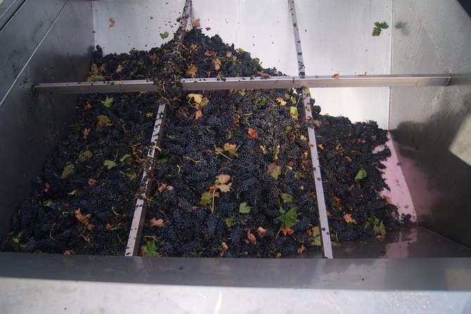 Rioja Wine Tour: Winery, Tasting & Lunch From San Sebastian - La Rioja: The Heart of Spanish Wine Country