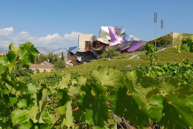 Rioja Wine Tour: Winery & Traditional Lunch From Bilbao - The Experience: What Travelers Can Expect