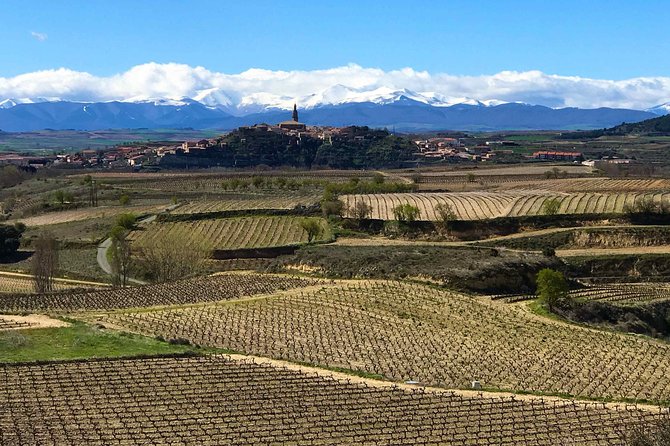 Rioja Wineries and Laguardia Tour Review - Itinerary Details