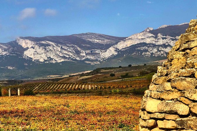 Rioja Wineries and Laguardia Tour Review - Culinary Delights