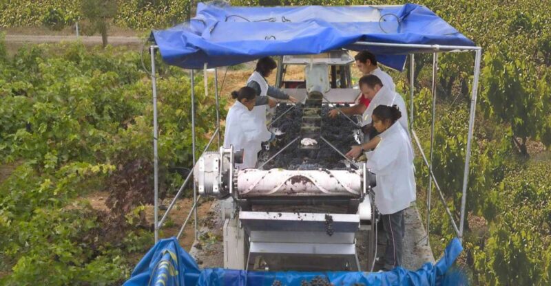 Rioja Winery & Traditional Lunch From Pamplona or Logroño - Transportation and Group Size