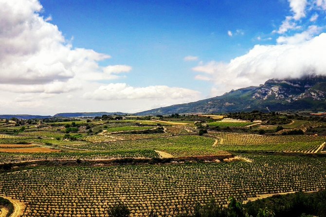 Rioja's Top wines tasting private tour - What’s Included and What’s Not