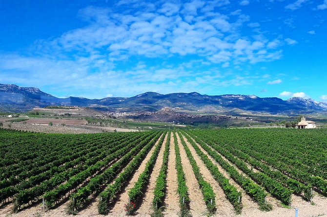 Rioja's Top wines tasting private tour - The Sum Up: Is This Tour Right for You?