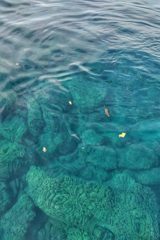 Riomaggiore: Cinque Terre Daytime Cruise with Snorkeling - An In-Depth Look at the Experience