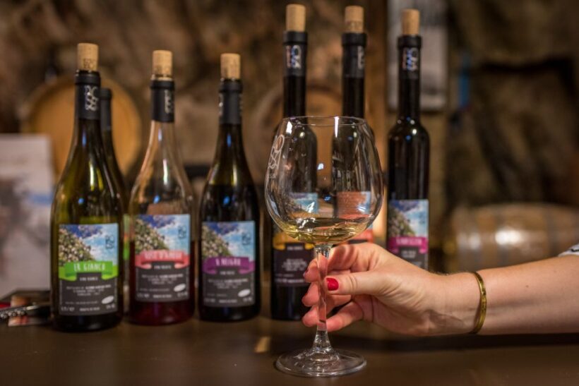 Riomaggiore: Vineyard & Wine Cellar Tour with Wine Tasting - What’s the Rundown of the Riomaggiore Vineyard & Wine Cellar Tour?