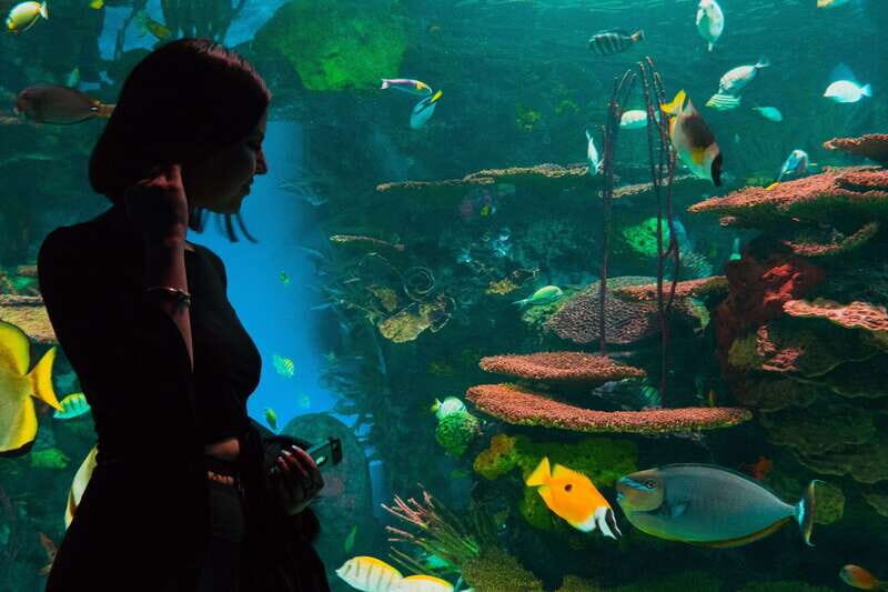 Ripley's Aquarium: Sharks After Dark Entry (After 5PM) - Authentic Experiences and Tips