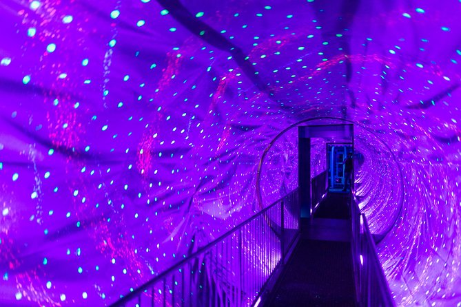 Ripleys Believe It or Not! Amsterdam Admission Ticket - Ripleys Artifact Collection and Oddities