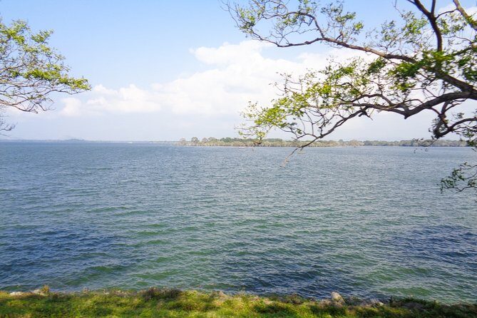 Ritigala, Kala Wewa and Namal Uyana from Dambulla - Who Would Enjoy This Tour?