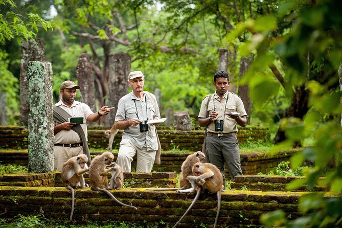 Ritigala Strict Natural Reserve & Minneriya National Park Safari Day Excursion - FAQ