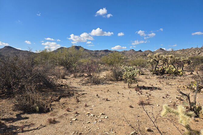 Ritz Dove Mountain and Totolita Hiking - The Trail Experience: What Makes It Special
