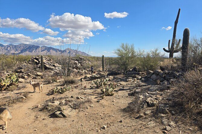 Ritz Dove Mountain and Totolita Hiking - Practical Details: Price, Timing, and Logistics
