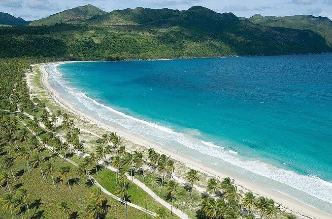 Riu Bambu - Round Trip Shuttle - Punta Cana Airport - Who Is This Service Best For?