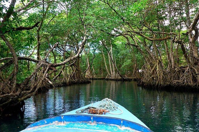 Riu Hotel Puerto Plata- Gregorio Luperon Airport - Final Recommendation