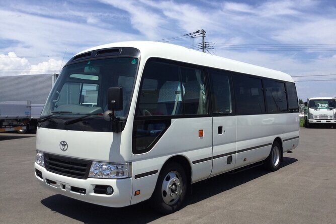 Riu Negril / Riu Palace Tropical Bay Private Airport Transfer - Pricing and Value