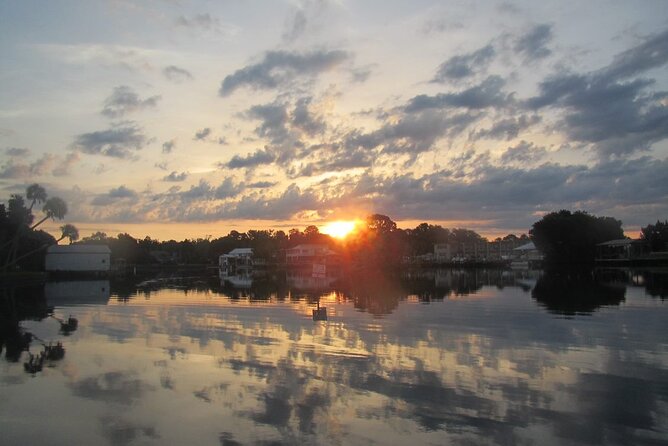 River Cruise Tour with Manatee Viewing - Authentic Feedback from Viewers