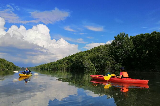 River Exploration and Mangrove Nature Tour by kayaking - Key Points