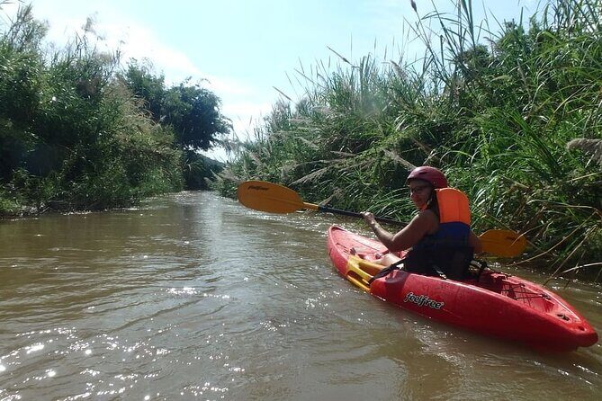 River Kayaking in Chiang Dao Jungle From Chiang Mai - The Sum Up: Is This Tour Worth It?