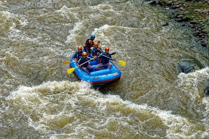River Rafting Down the Ayung and Sacred Monkey Forest - Encounter with Bali’s Sacred Animals: The Monkey Forest