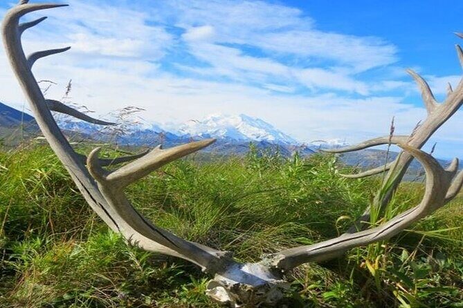 River Rafting in Alaska Wilderness - Covering the Price: Does It Offer Good Value?