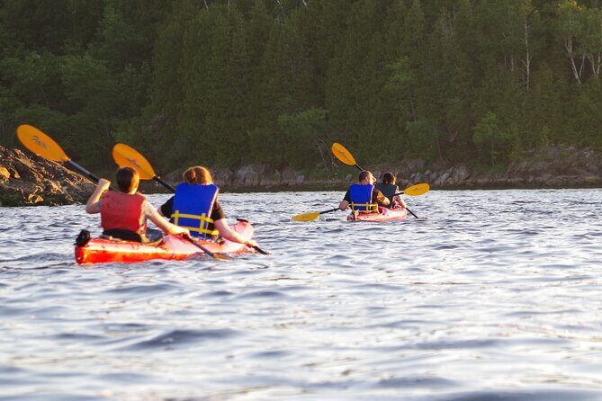 River Relics Kayaking Adventure - The Sum Up: Who Will Love This Tour?