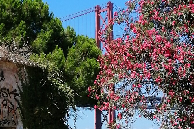 River Tejo South Margin - The Sum Up