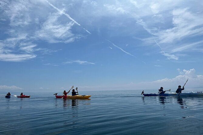 River to Sea Mutsu Bay Kayak Experience - Price and Value Analysis