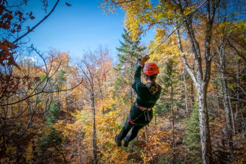River Ziplines - Nature Tours - An In-Depth Look at the Experience