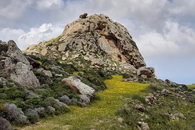 Riverbank Adventure in Naxos (Kinidaros - Eggares) - Guest Reviews