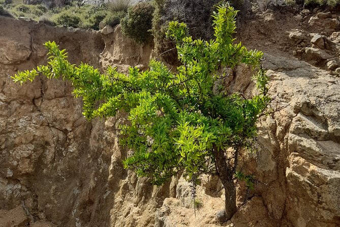 Riverbank Adventure in Naxos (Kinidaros - Eggares) - Booking and Confirmation