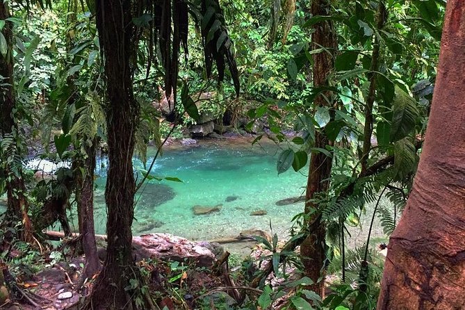 Rivering in The Danube (The Mermaid) - Key Points