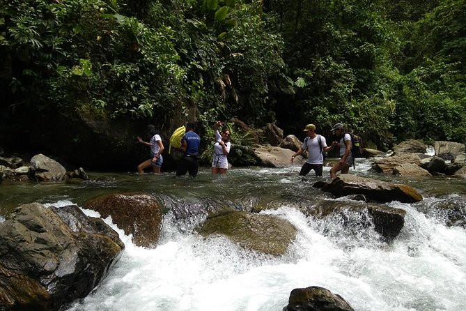 Rivering in The Danube (The Mermaid) - Reviews and Ratings