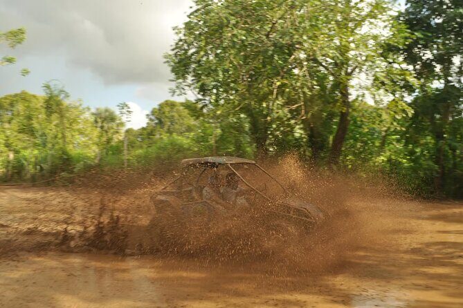 Rivers, Jungle with Buggies Adventure in Bayahibe - Final thoughts