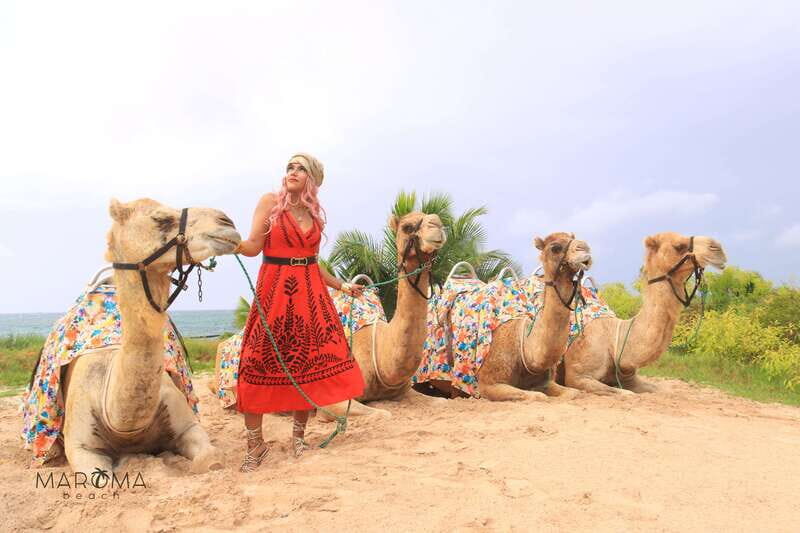 Riviera Maya: Camel Caravan Expedition and Beach Club Access - What Travelers Say