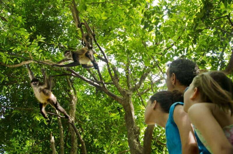 Riviera Maya: Croco Cun Interactive Zoo Tour - The Itinerary: What to Expect