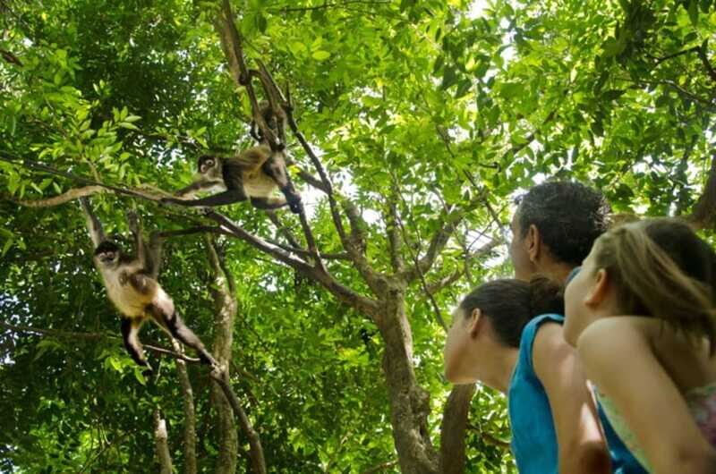Riviera Maya: Croco Cun Interactive Zoo Tour - Accessibility and Practicalities