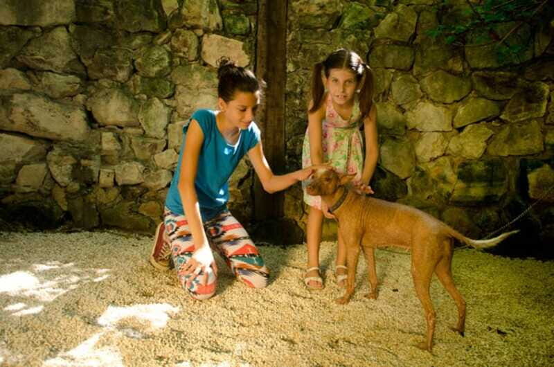 Riviera Maya: Croco Cun Interactive Zoo Tour - The Sum Up: Who Should Consider This Tour?