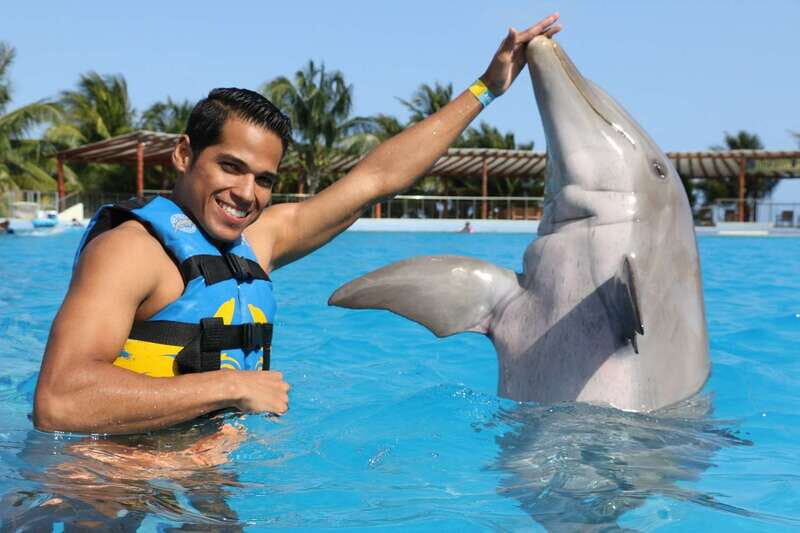 Riviera Maya: Dolphin Encounter with Beach Club Access - A Detailed Look at the Riviera Maya Dolphin Encounter and Beach Club