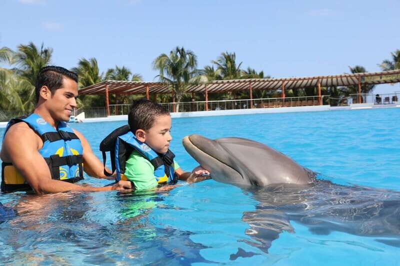 Riviera Maya: Dolphin Encounter with Beach Club Access - FAQ