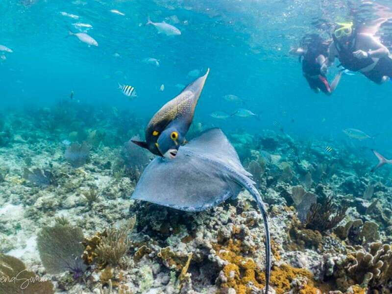 Riviera Maya: Full Day Private Catamaran to Isla Mujeres - What’s Included and What’s Not