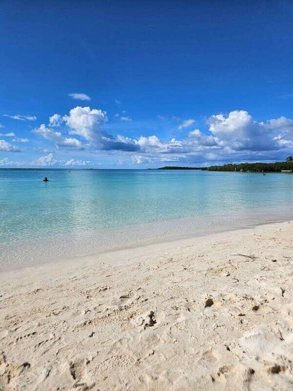 Riviera Maya: Isla Contoy and Isla Mujeres Full-Day Tour - Final Thoughts