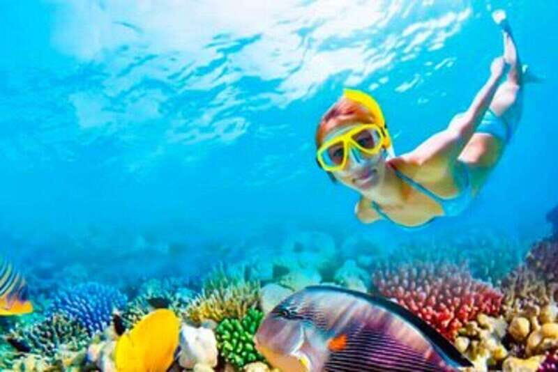 Riviera Maya: Isla Contoy and Isla Mujeres Full-Day Tour - FAQ