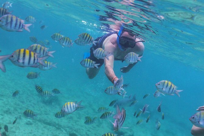 Riviera Maya Luxury Snorkeling Cruise with Lunch and Drinks - FAQs