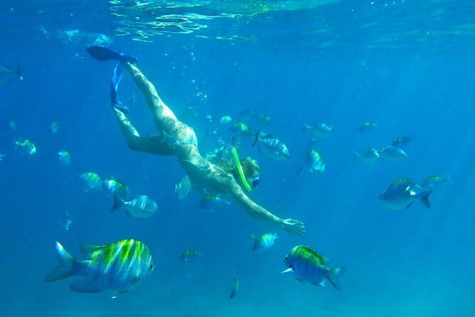 Riviera Maya Luxury Snorkeling Cruise with Lunch and Drinks - Final Thoughts