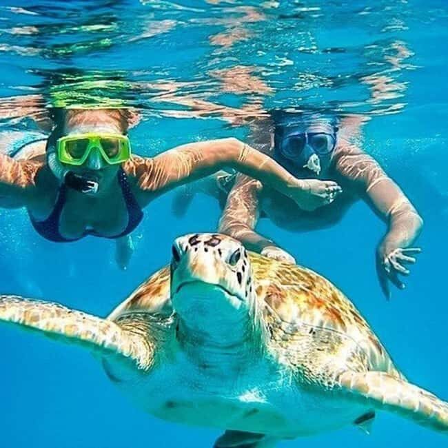 Riviera Maya: Nado con Tortugas, Cenote y Almuerzo mexicano. - Swimming with Turtles in Akumal