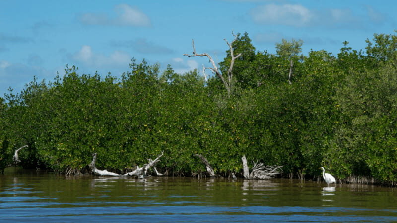 Riviera Maya: Rio Lagartos & Las Coloradas Day Trip w/Lunch - The Sum Up: Who Will Love This Tour?